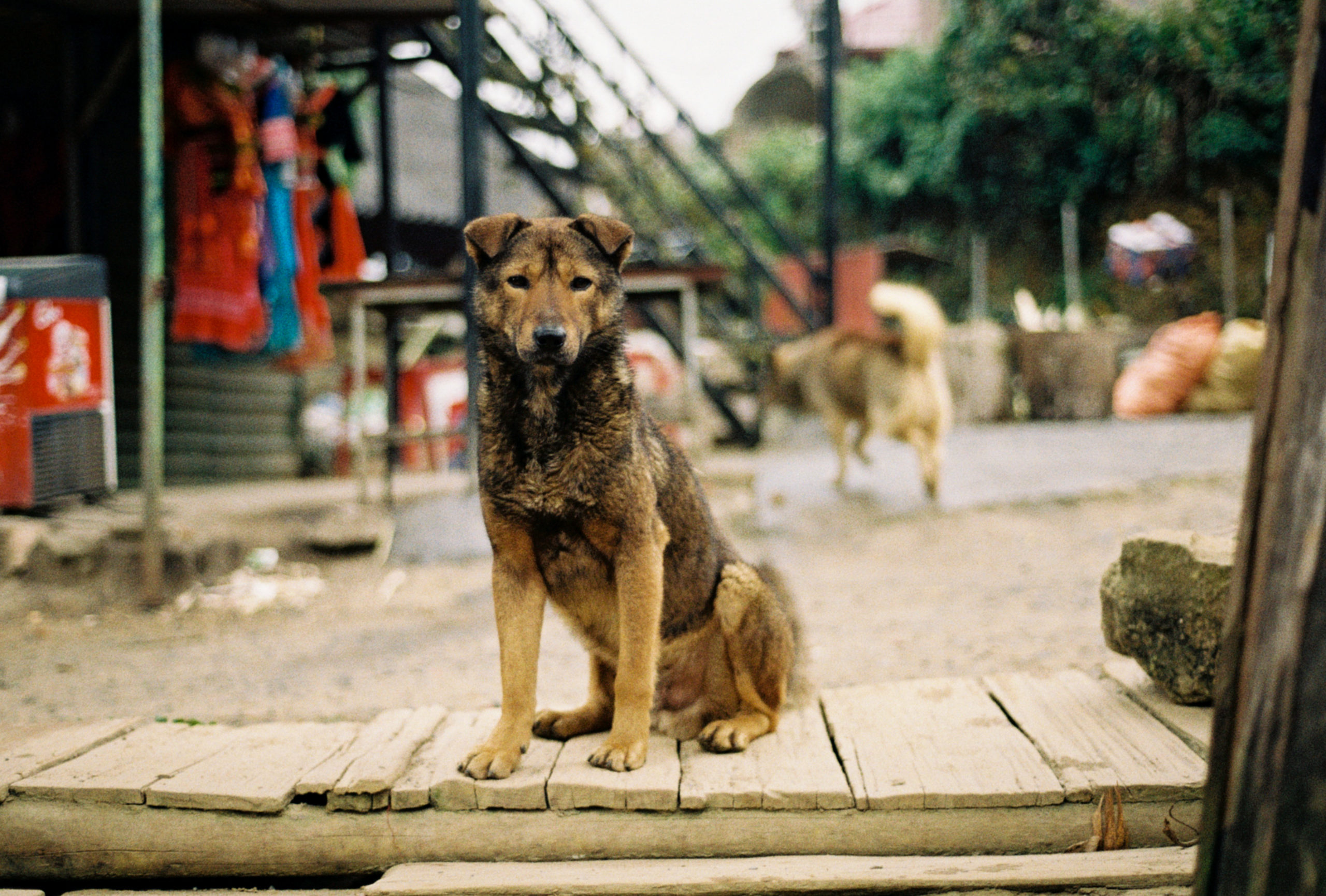 Portfolio Archive - CHRISTIAN CARGILL